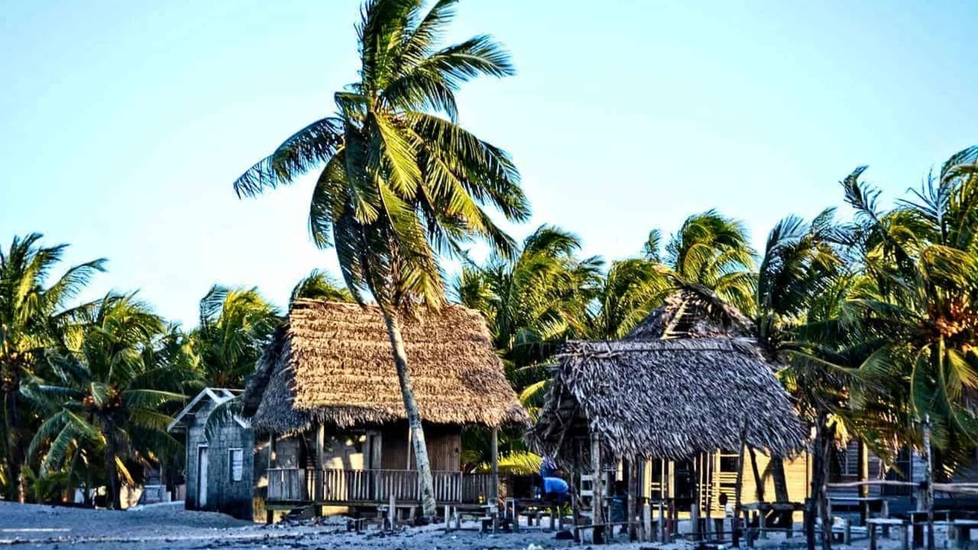 Signature Journeys — The Local Root Belize