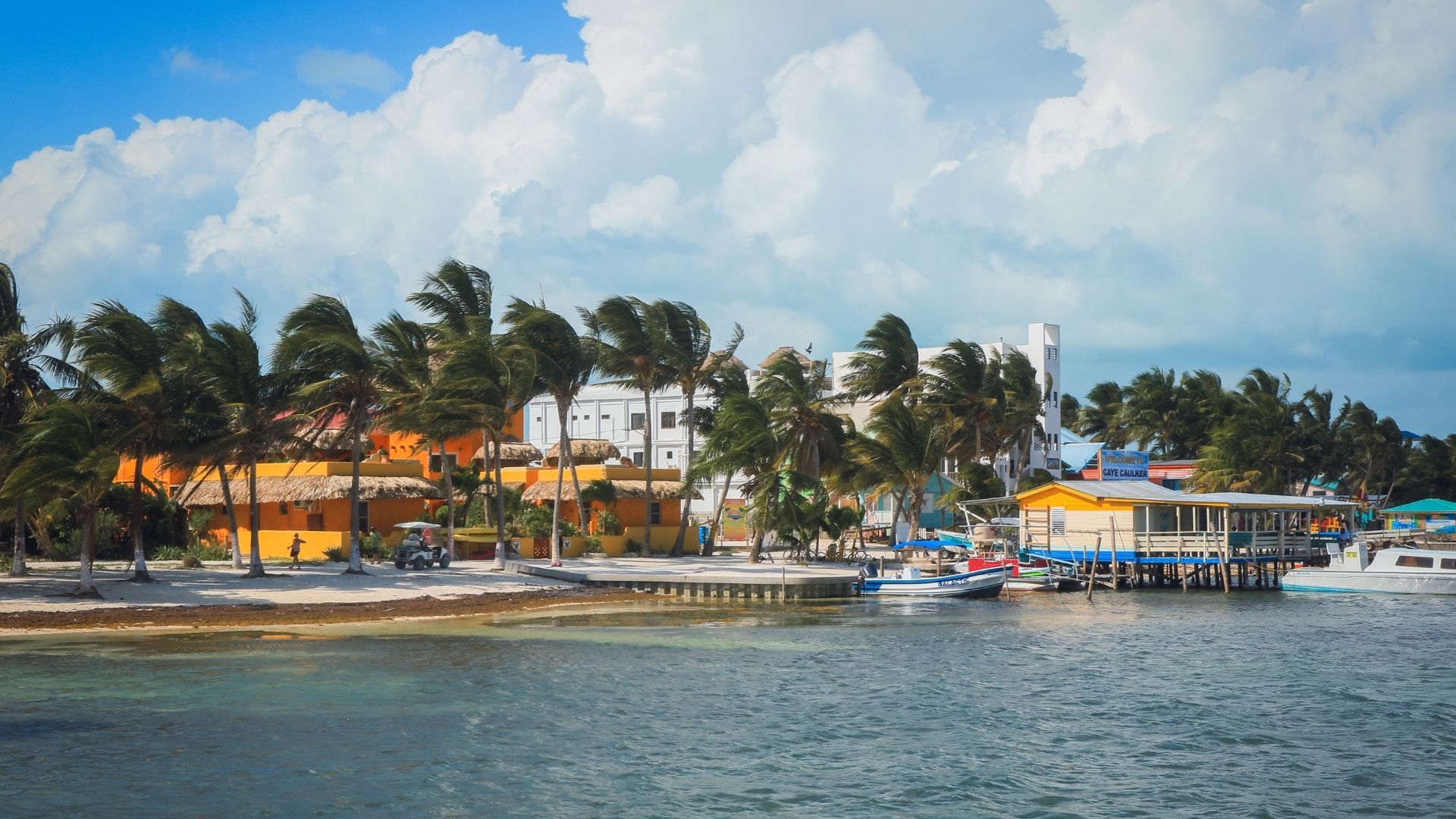 Signature Journeys — The Local Root Belize